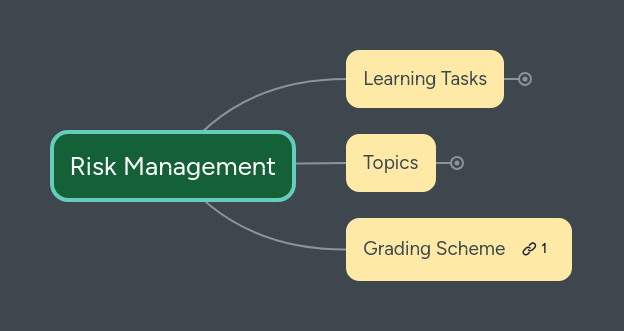 Risk Management | MindMeister Mind Map