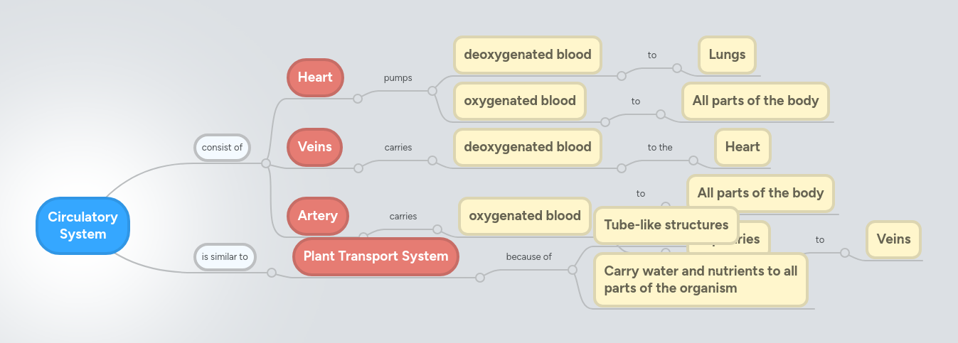 Circulatory System | MindMeister Mind map