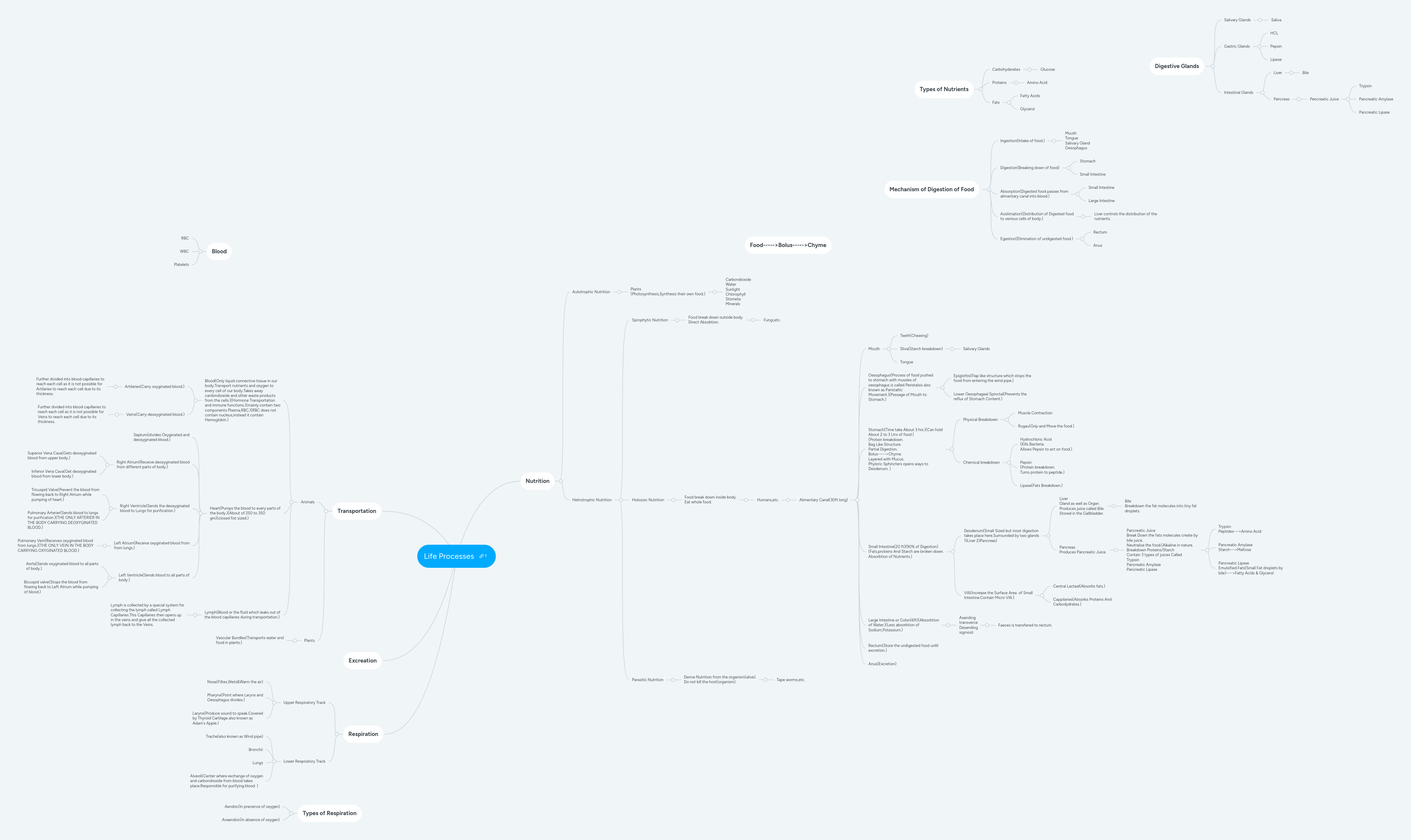 Life Processes | MindMeister Mind Map