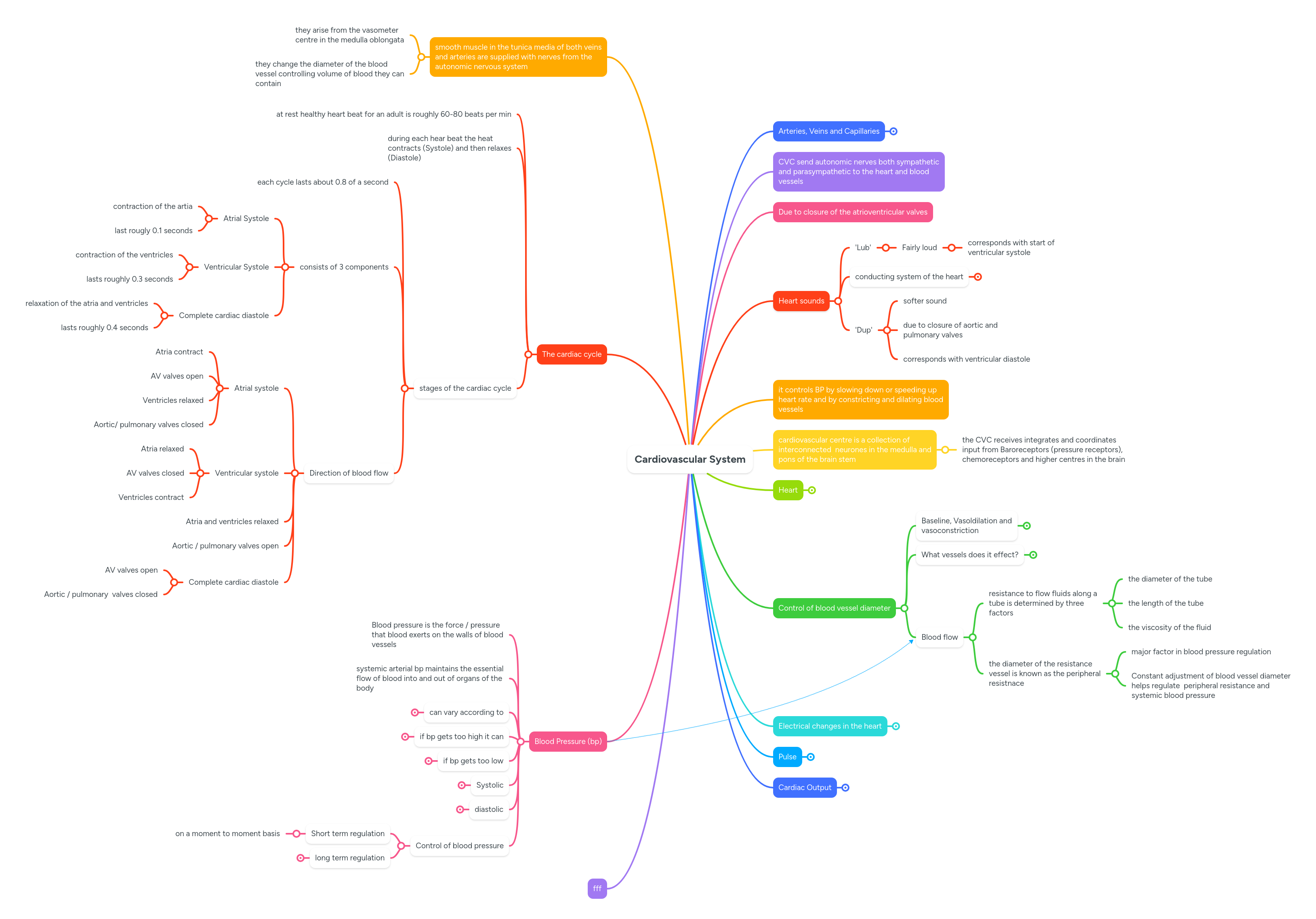 Cardiovascular System | MindMeister Mind Map