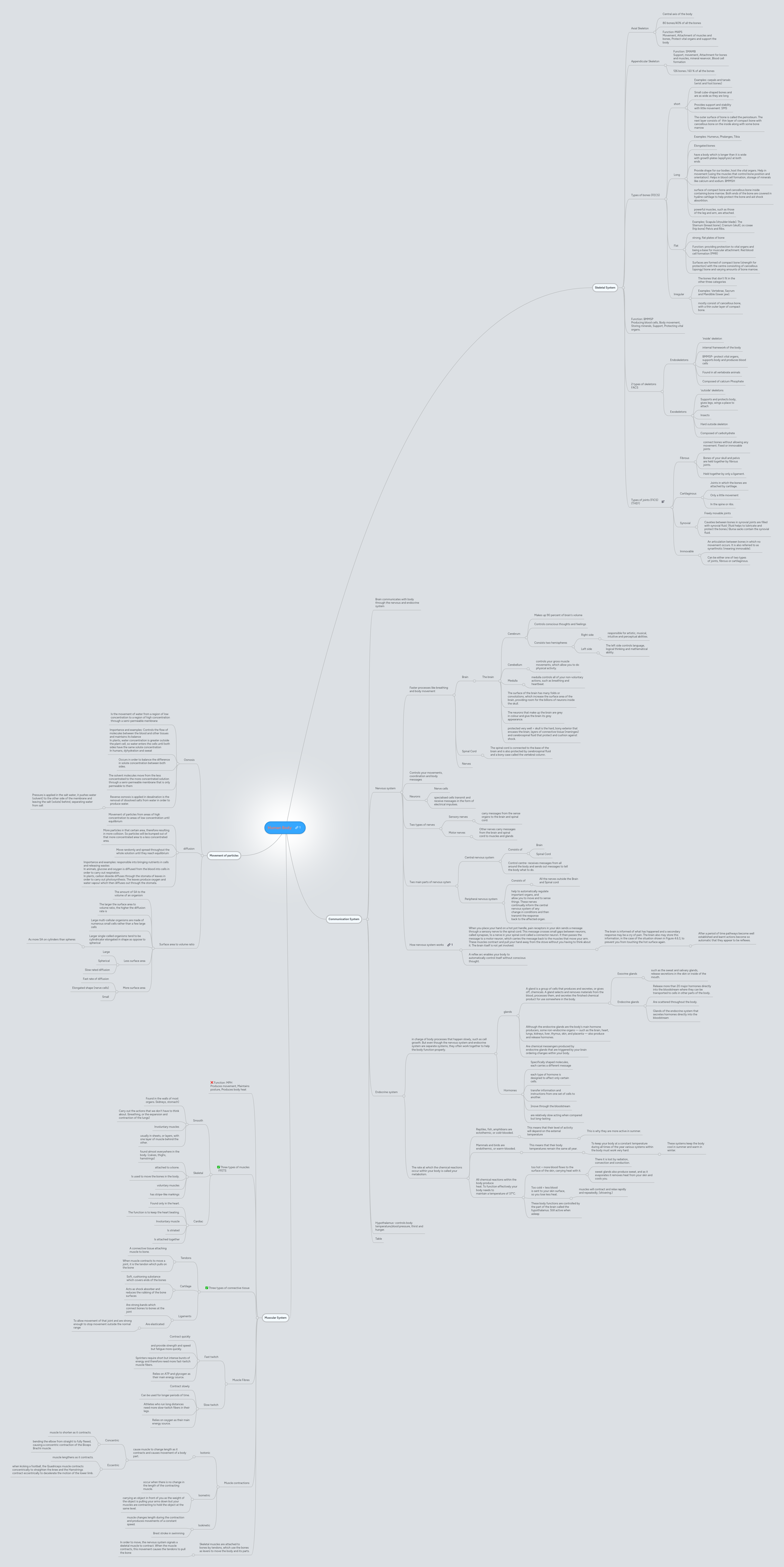 Human Body | MindMeister Mind Map