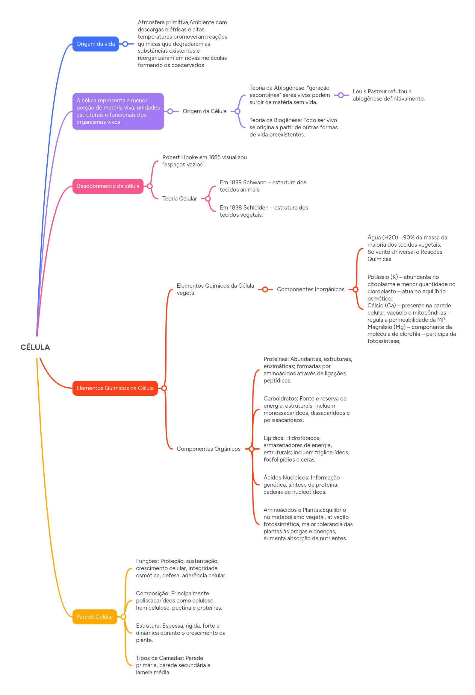 CÉLULA | MindMeister Mapa Mental