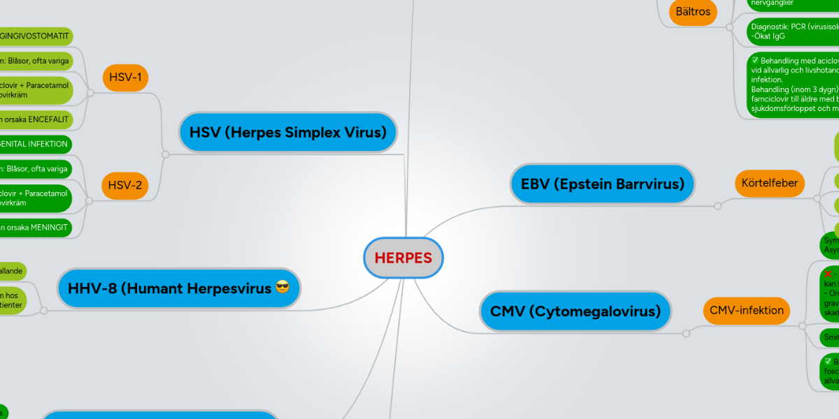 HERPES | MindMeister Mind Map