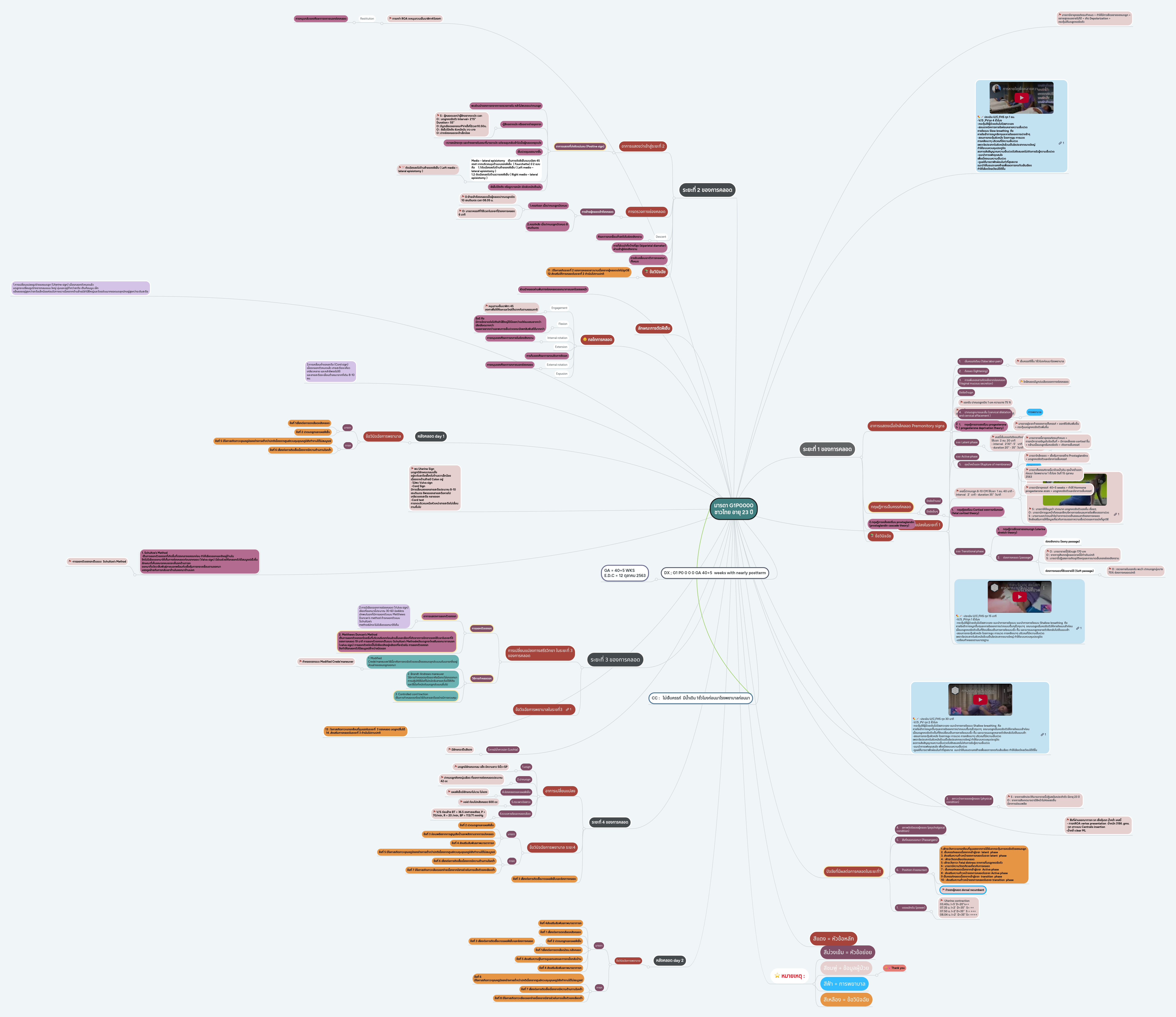 มารดา G1P0000 ชาวไทย อายุ 23 ปี | MindMeister Mind Map