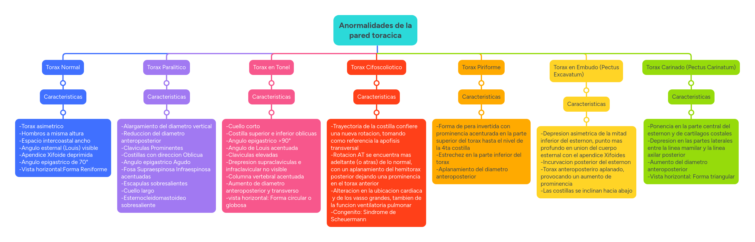 Radiografia De Torax Normal Radiografía Tórax Erguida Muestra Tórax