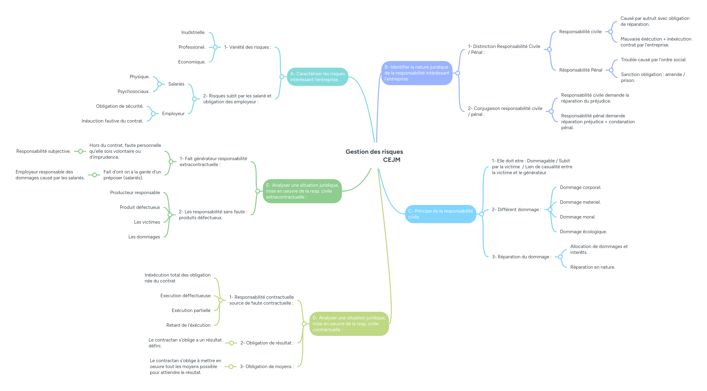 Gestion des risques CEJM | MindMeister Carte mentale