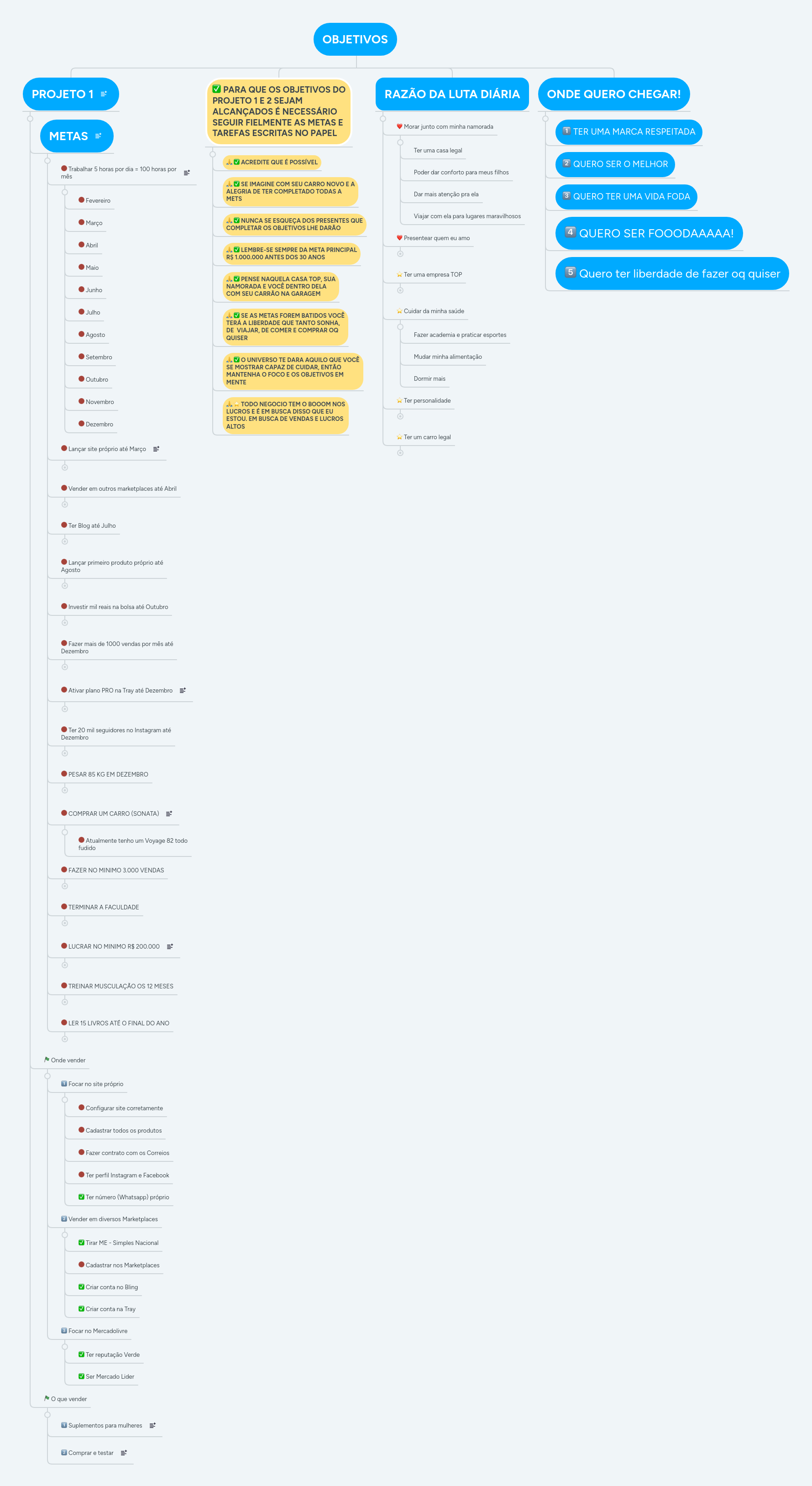 OBJETIVOS | MindMeister Mapa Mental
