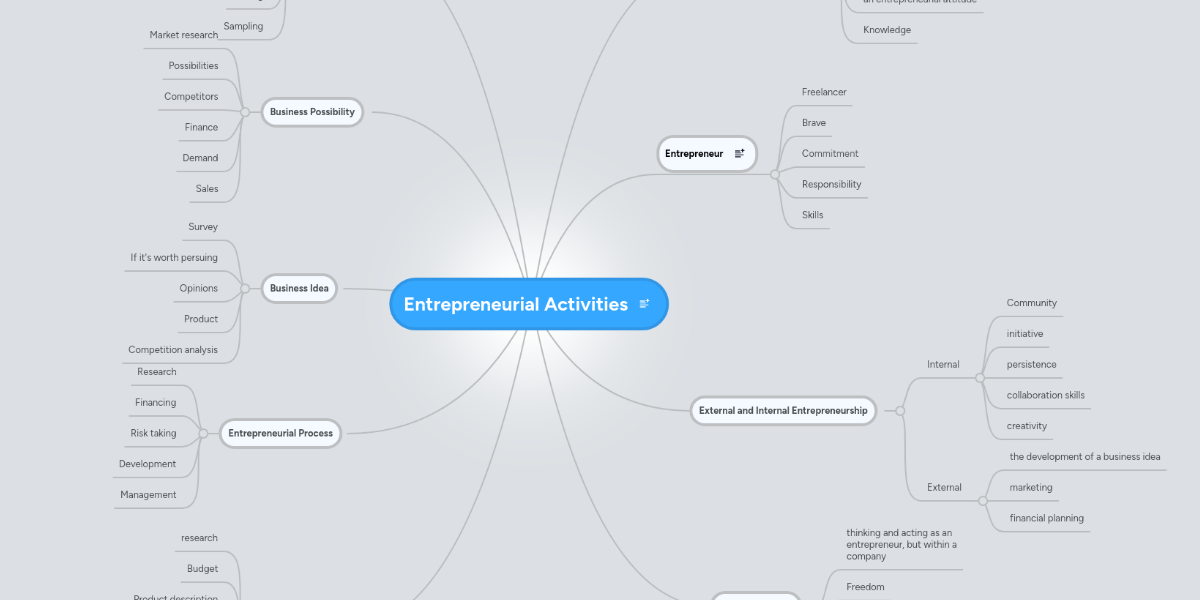 Entrepreneurial Activities | MindMeister Mind Map