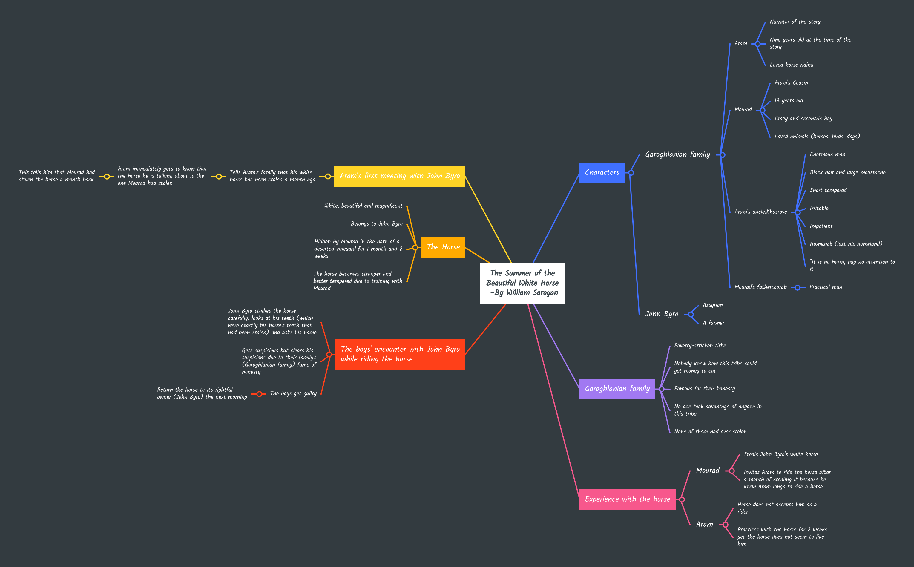 The Summer of the Beautiful White Horse ~By Will... | MindMeister Mind Map