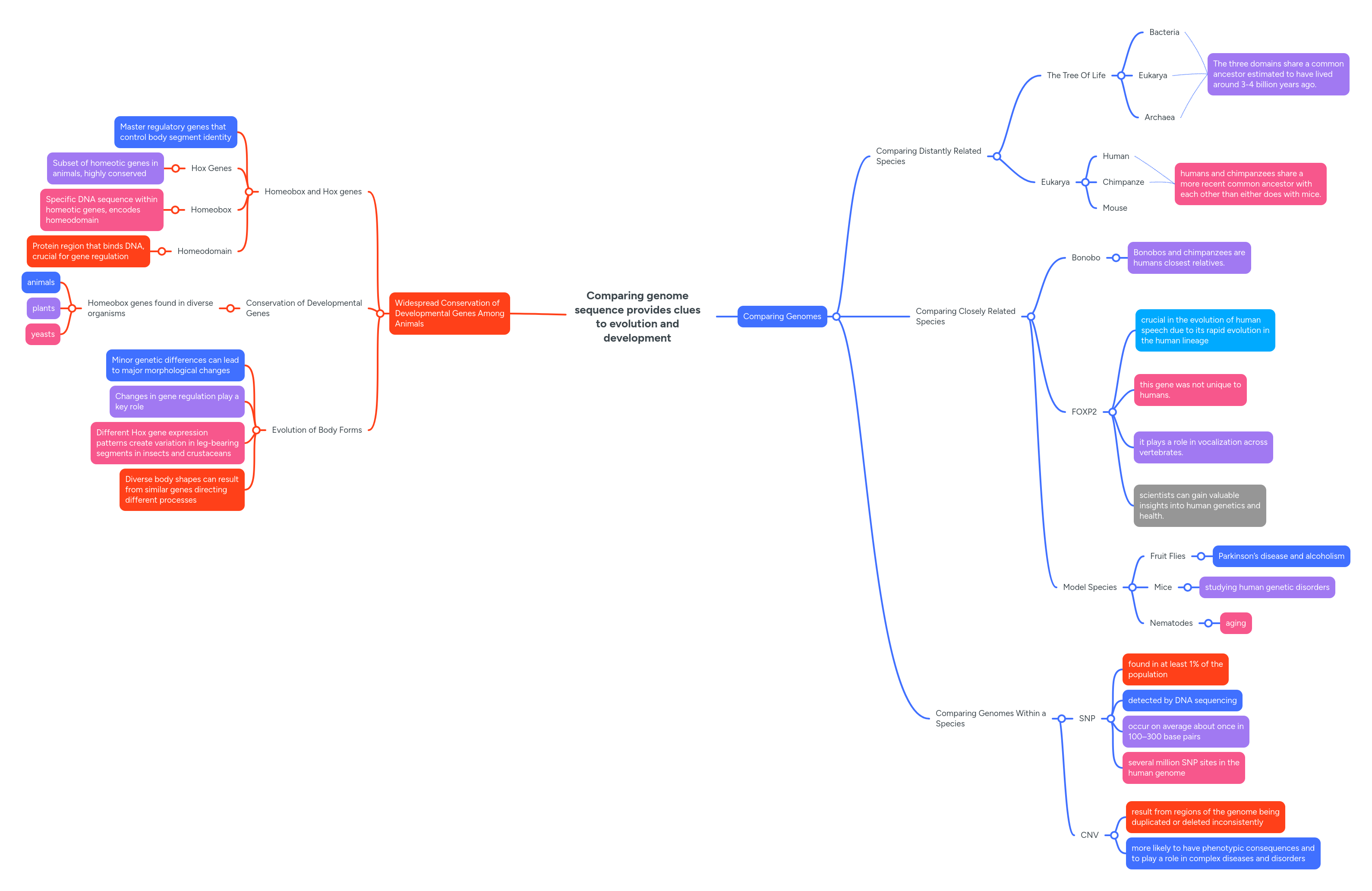 Comparing genome sequence provides clues to evolu... | MindMeister Mind Map