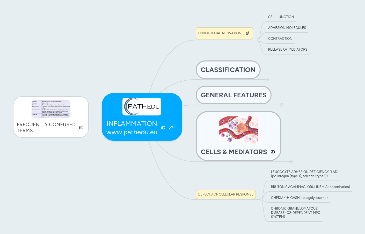 INFLAMMATION www.pathedu.eu | MindMeister Mind map