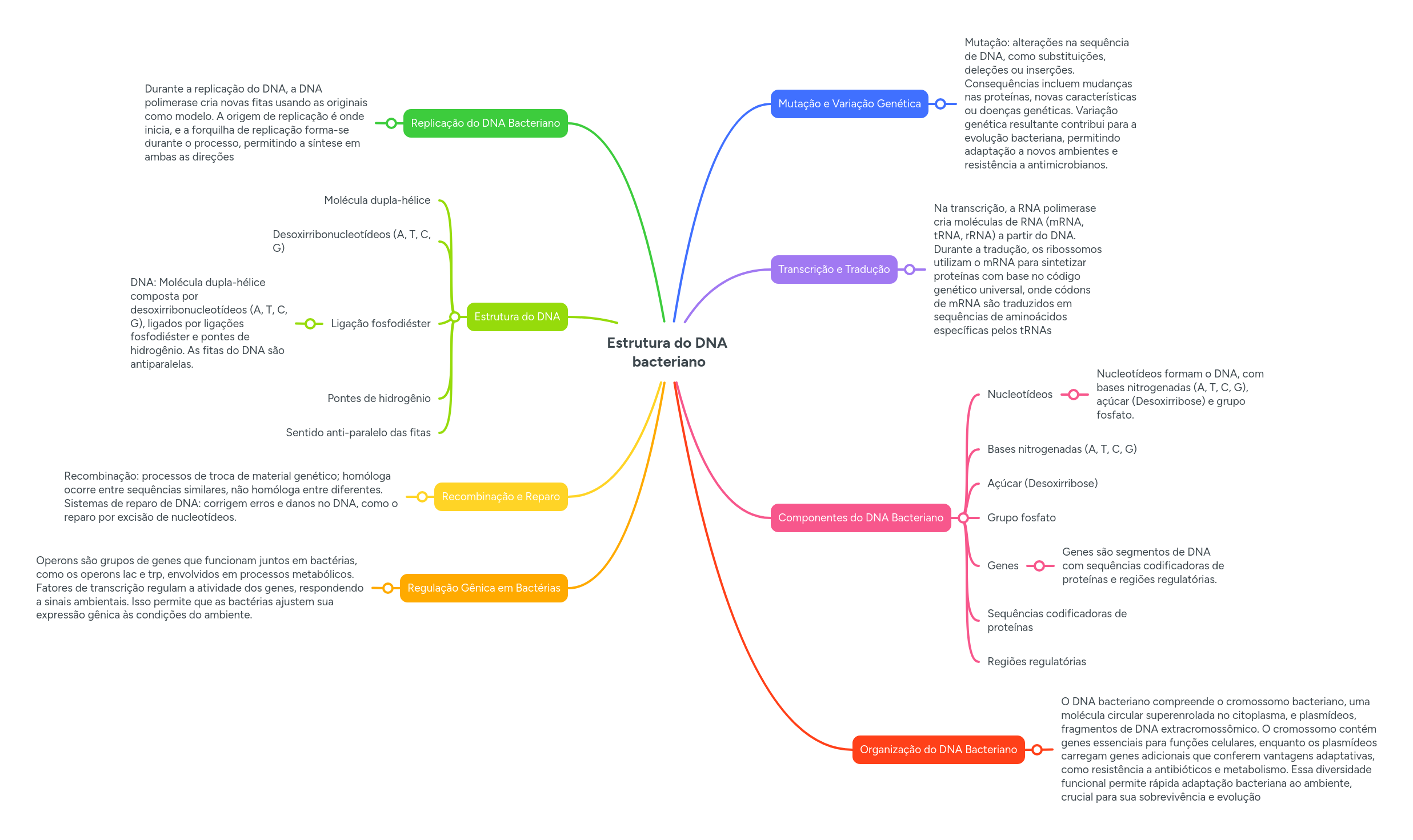 Estrutura do DNA bacteriano | MindMeister Mapa Mental