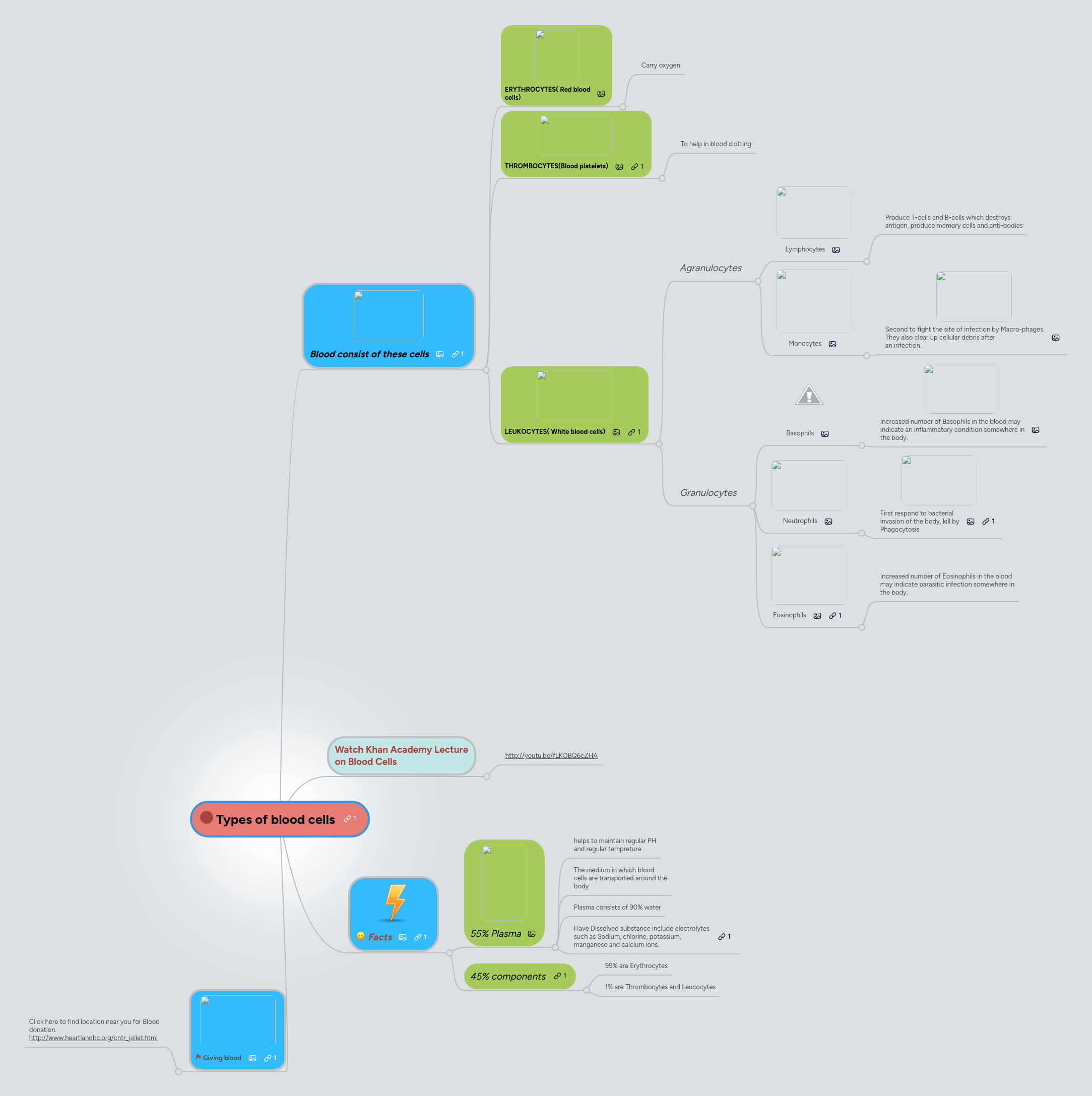 Types of blood cells | MindMeister Mind map
