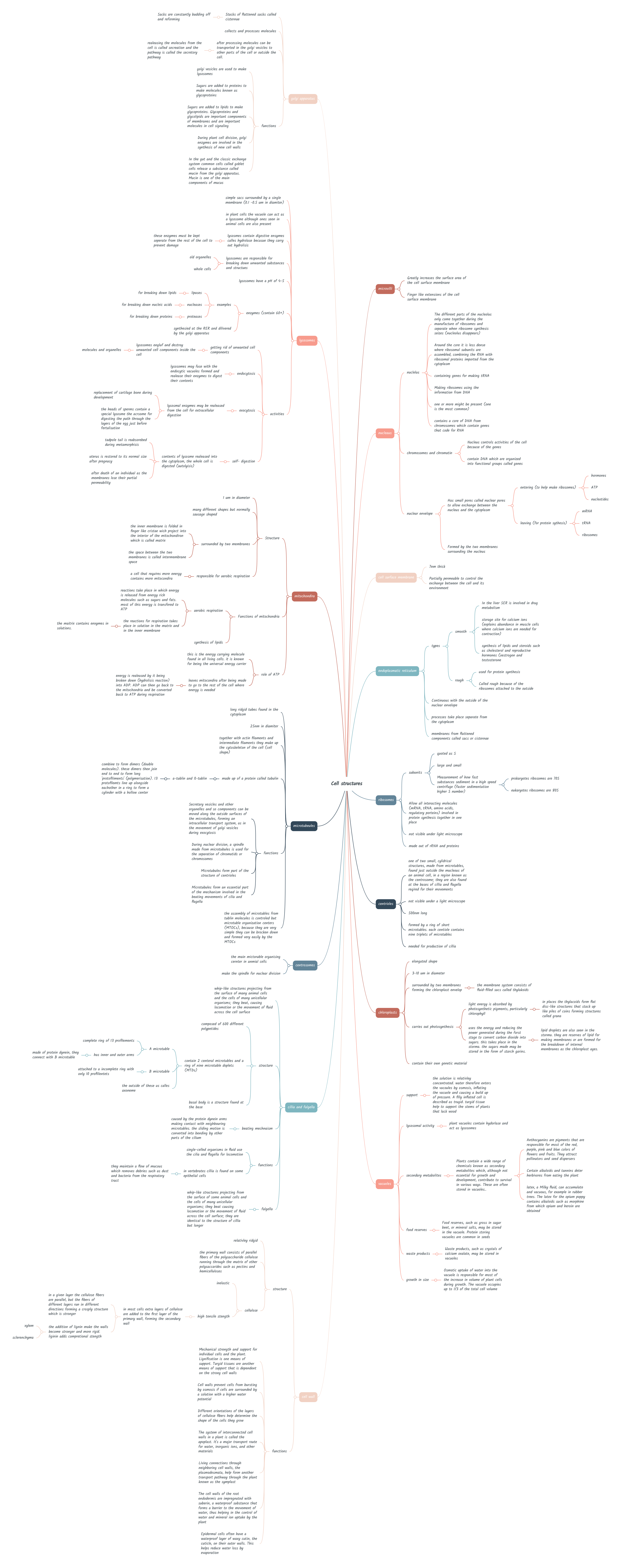 Cell structures | MindMeister Mind Map