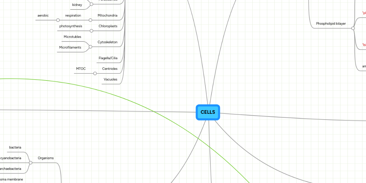 CELLS | MindMeister Mind Map