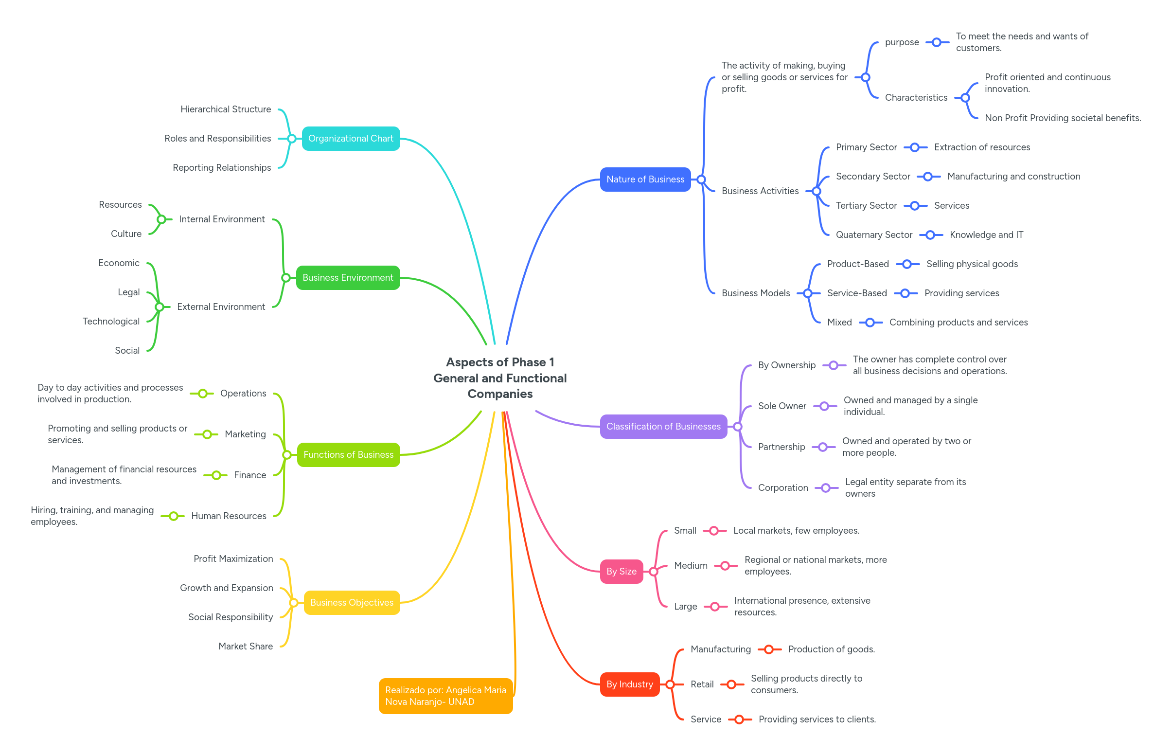 Aspects of Phase 1 General and Functional Compani... | MindMeister Mind Map