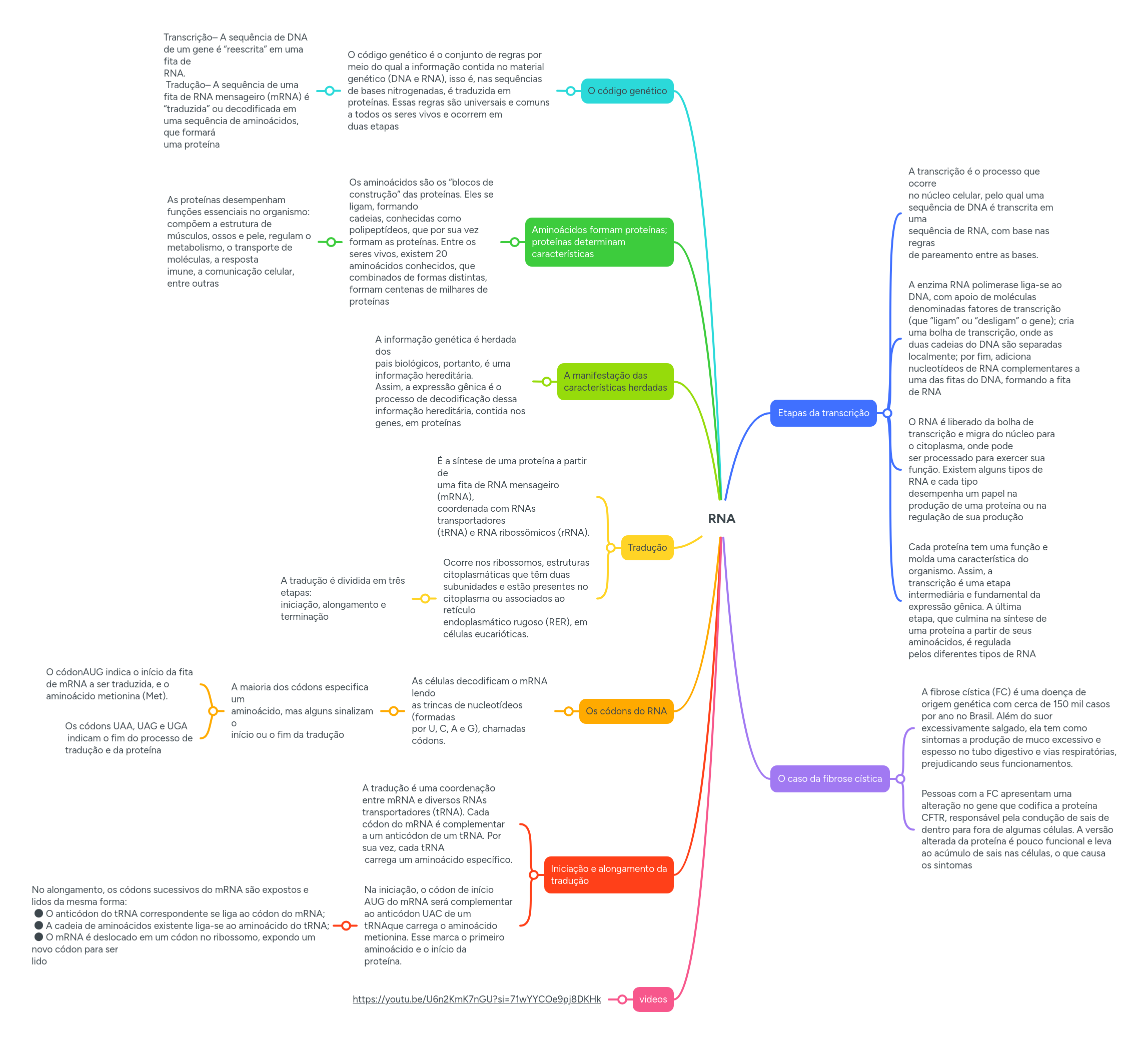 RNA | MindMeister Mapa mental