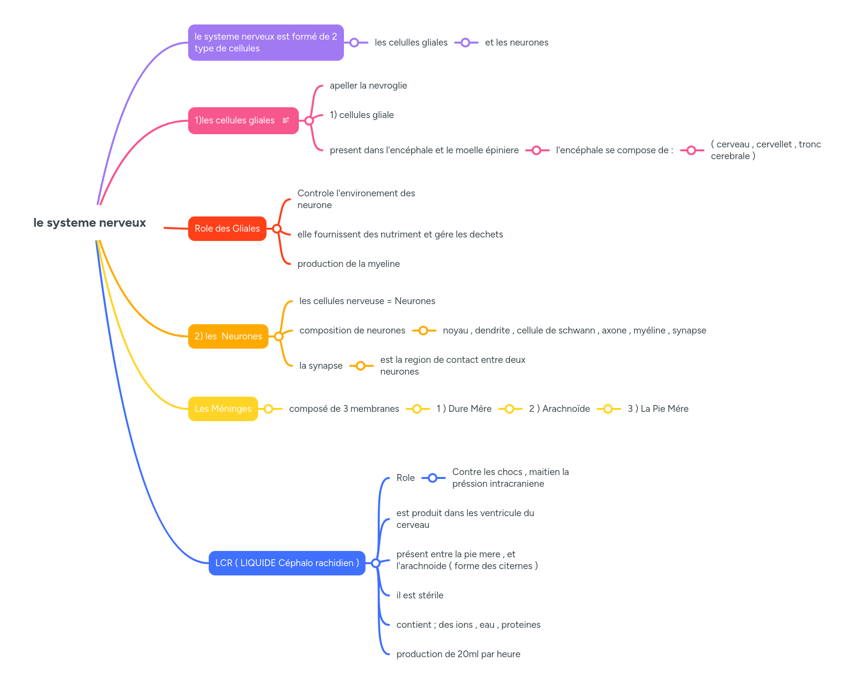 le systeme nerveux | MindMeister Carte mentale