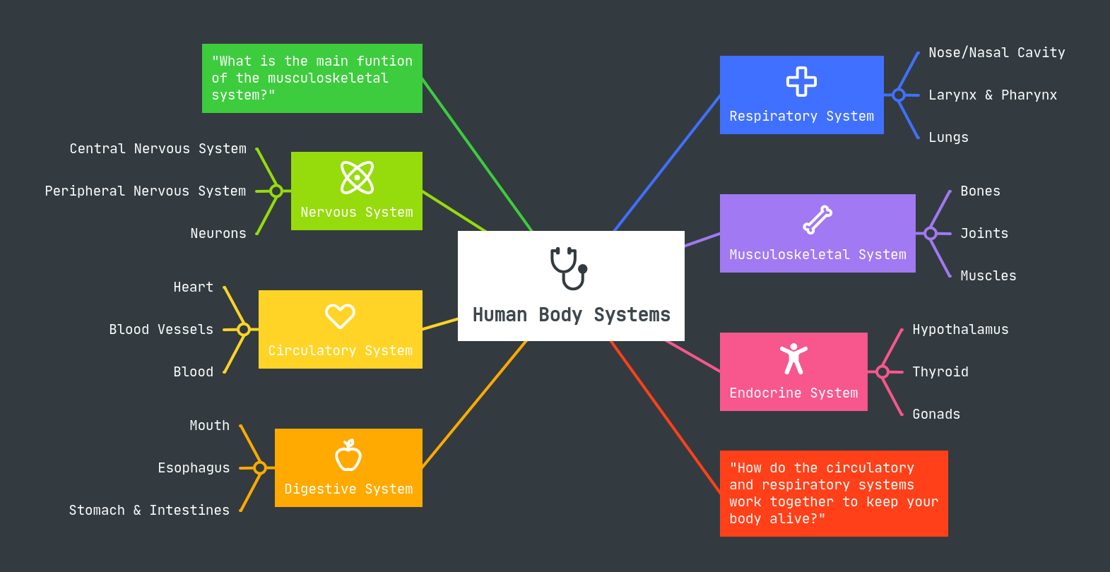 Human Body Systems | MindMeister Mind map