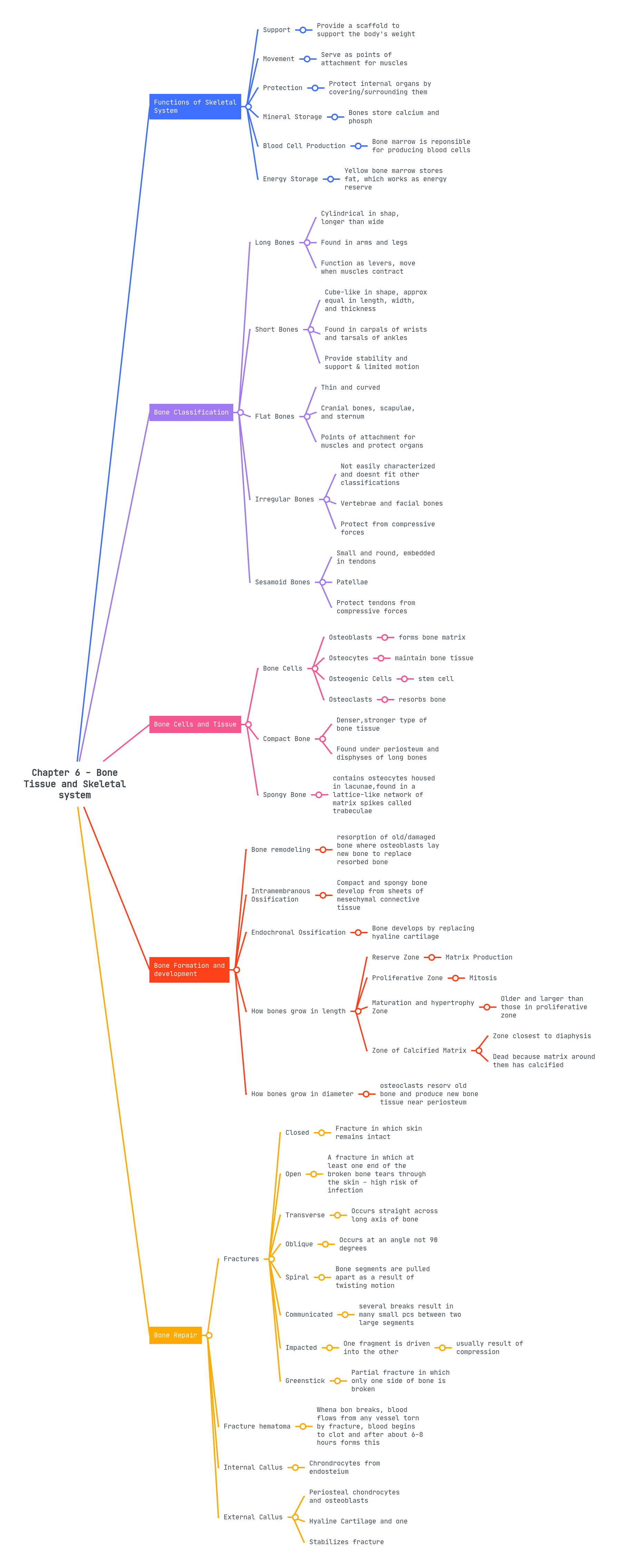 Chapter 6 - Bone Tissue and Skeletal system | MindMeister Mind map