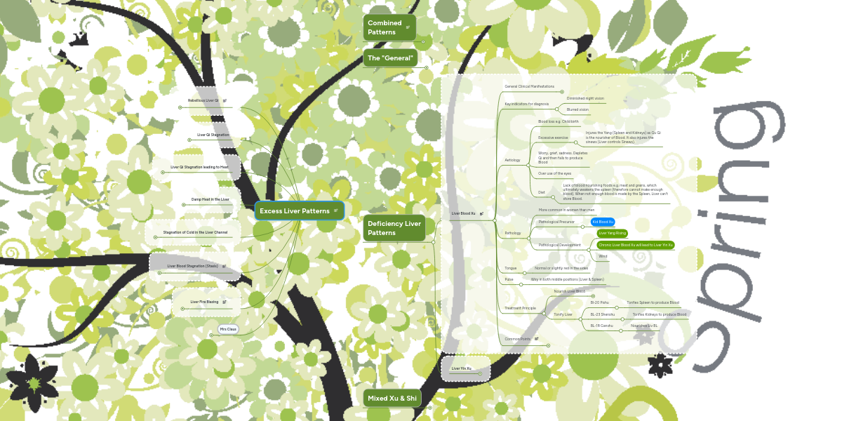 Excess Liver Patterns | MindMeister Mind Map