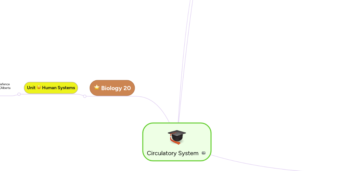 Circulatory System | MindMeister Mind Map