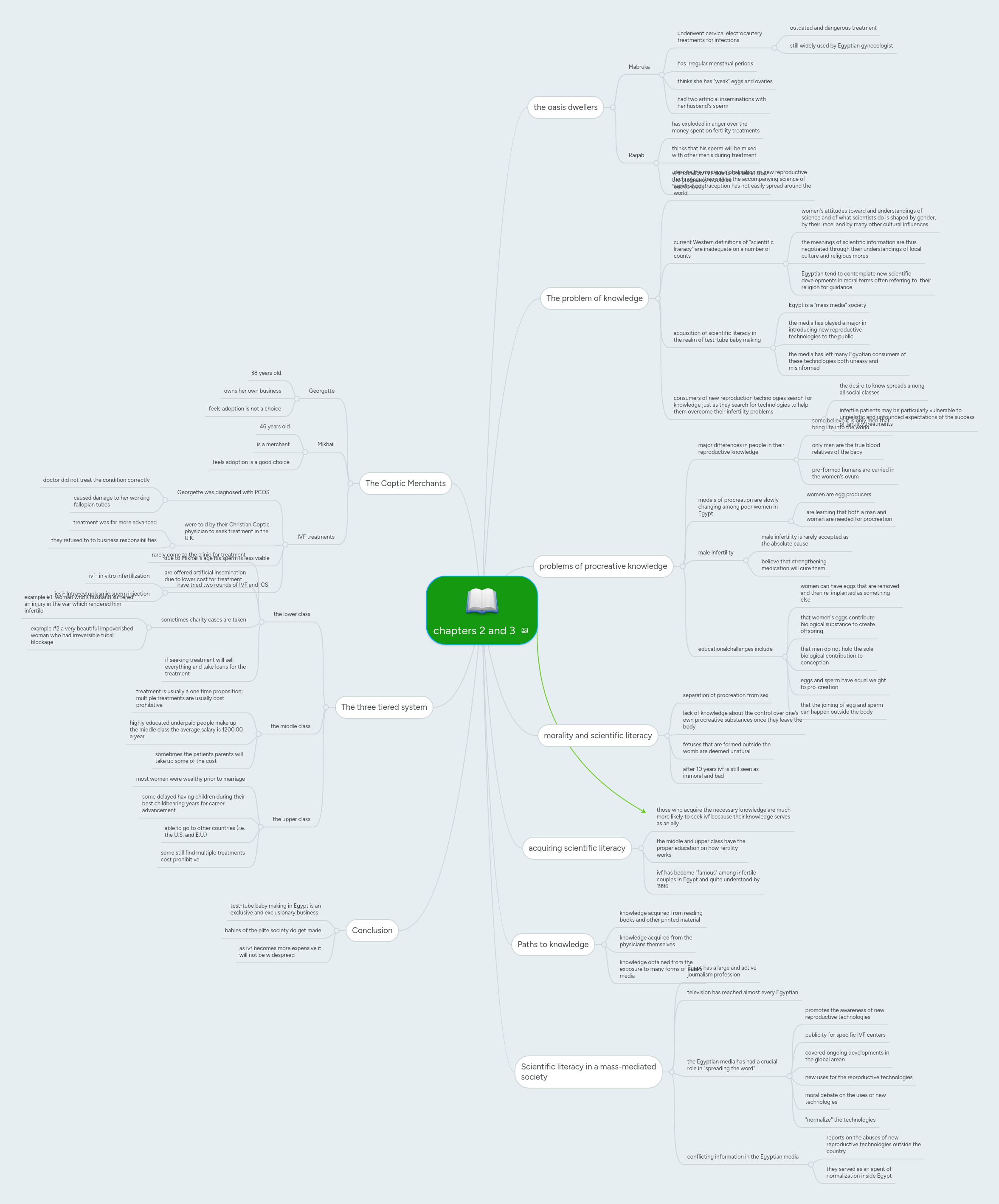 chapters 2 and 3 | MindMeister Mind map