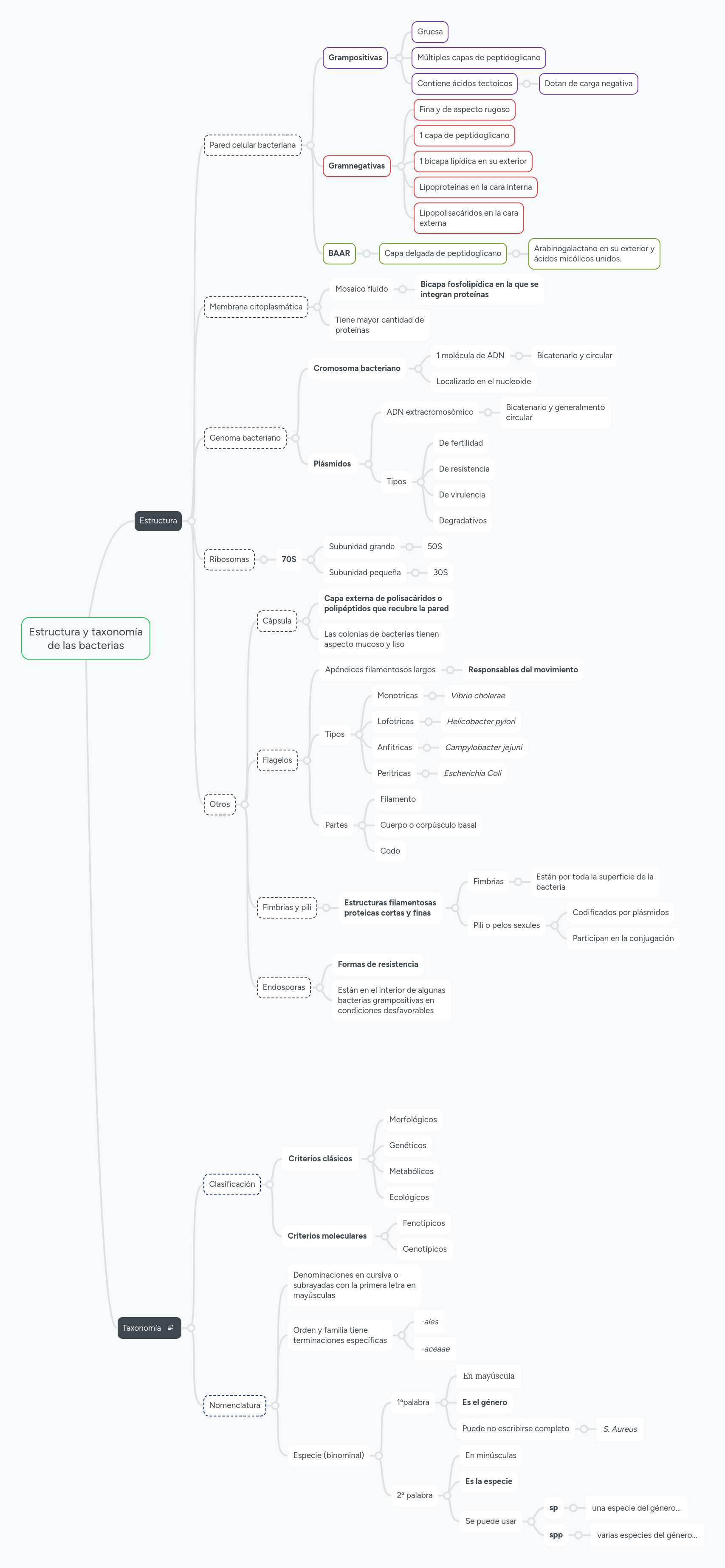 Estructura y taxonomía de las bacterias | MindMeister Mind map