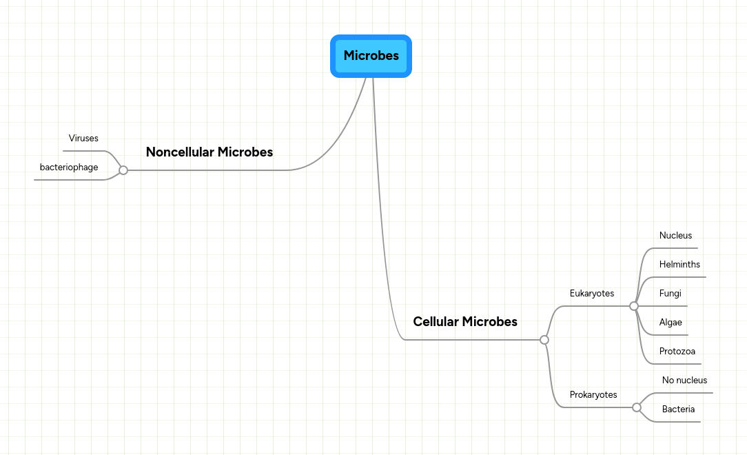Microbes | MindMeister Mind map