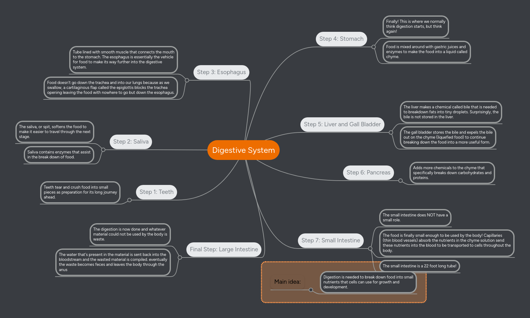 Digestive System | MindMeister Mind Map