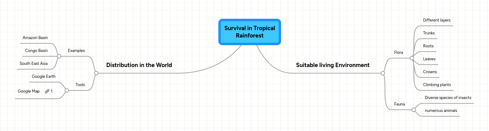 Survival in Tropical Rainforest | MindMeister Mind map