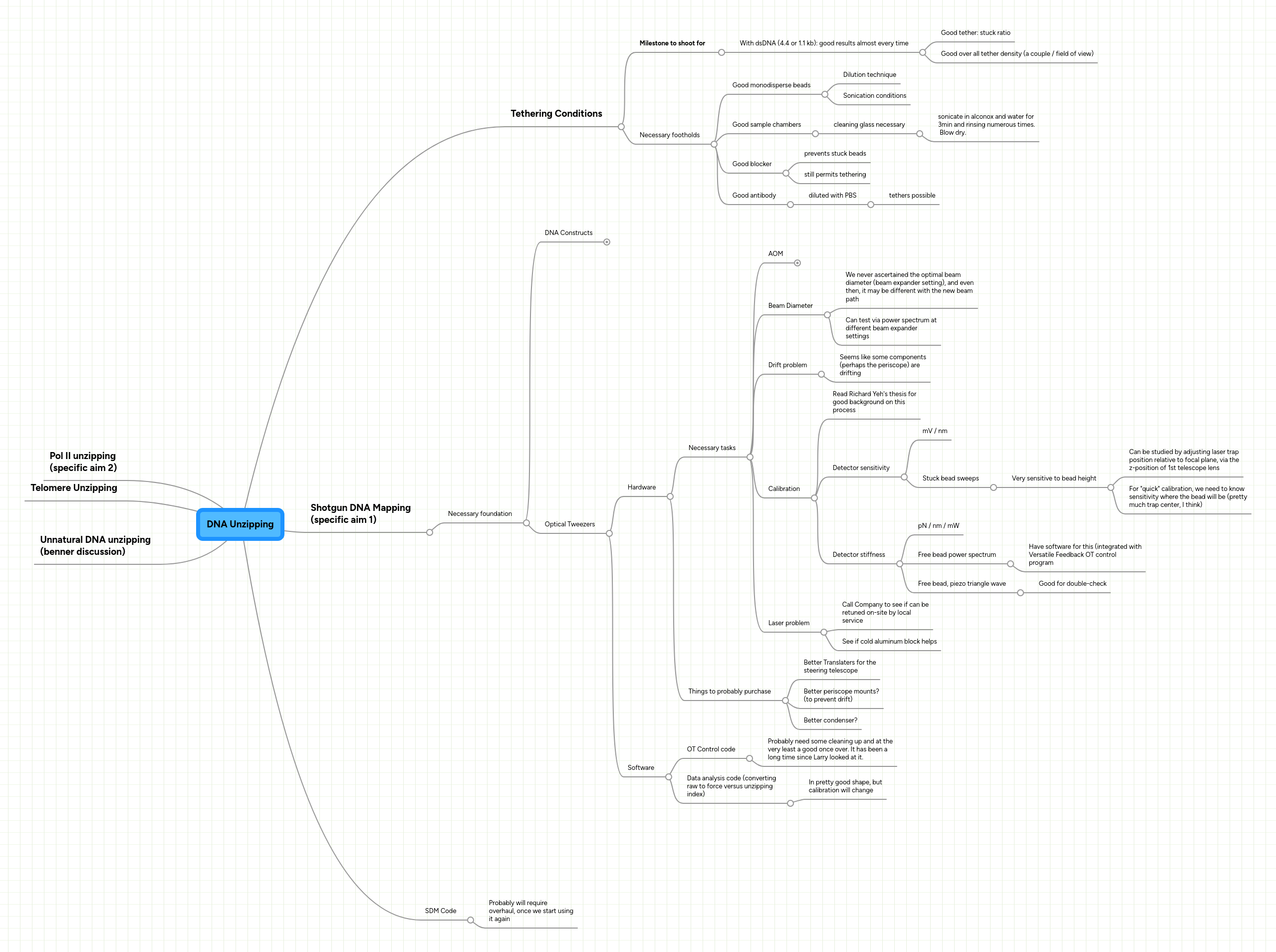 DNA Unzipping | MindMeister Mind map
