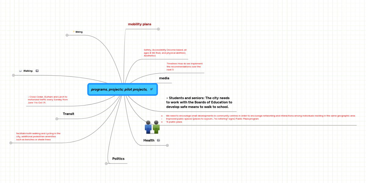 programs, projects; pilot projects, | MindMeister Mind Map