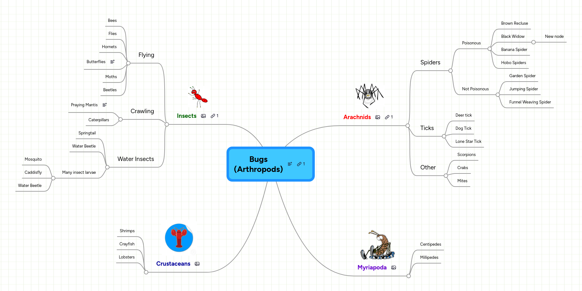 Bugs (Arthropods) | MindMeister Mind Map