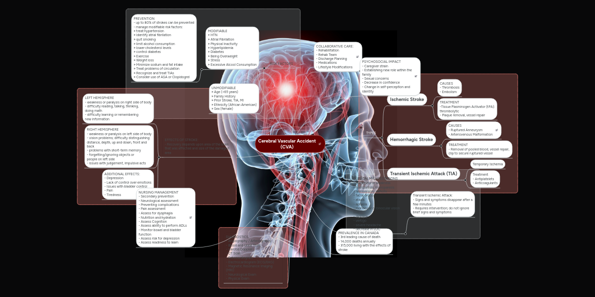 Cerebral Vascular Accident (CVA) | MindMeister Mind Map