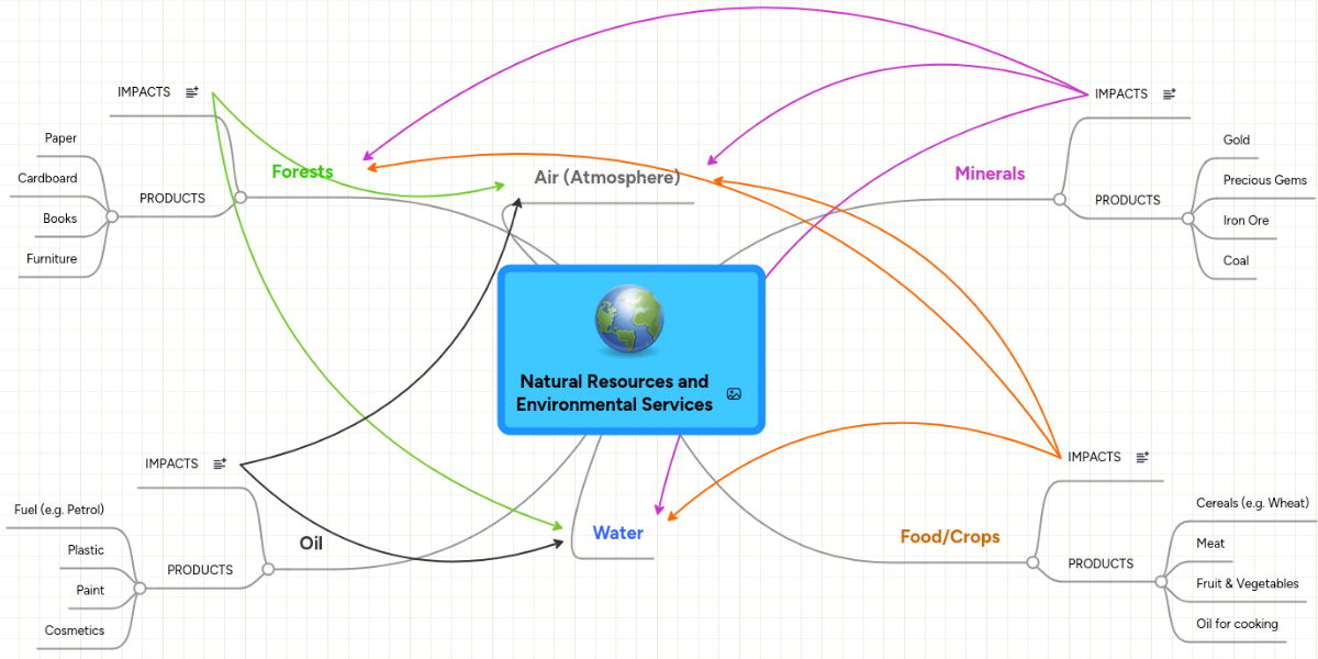 Natural Resources and Environmental Services | MindMeister Mind Map