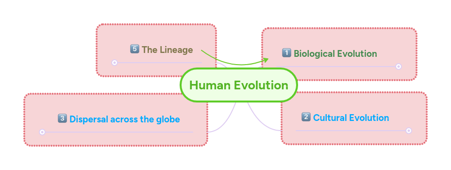 Human Evolution | MindMeister Mind map