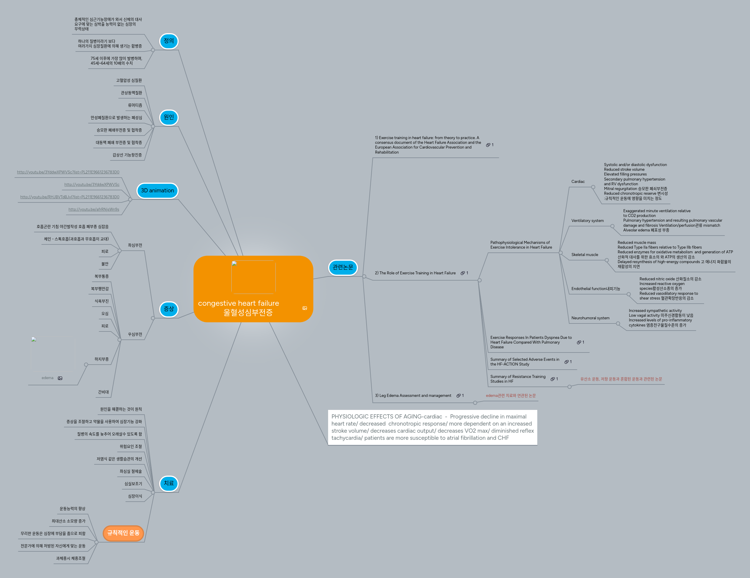 Nursing Concept Maps For Chf