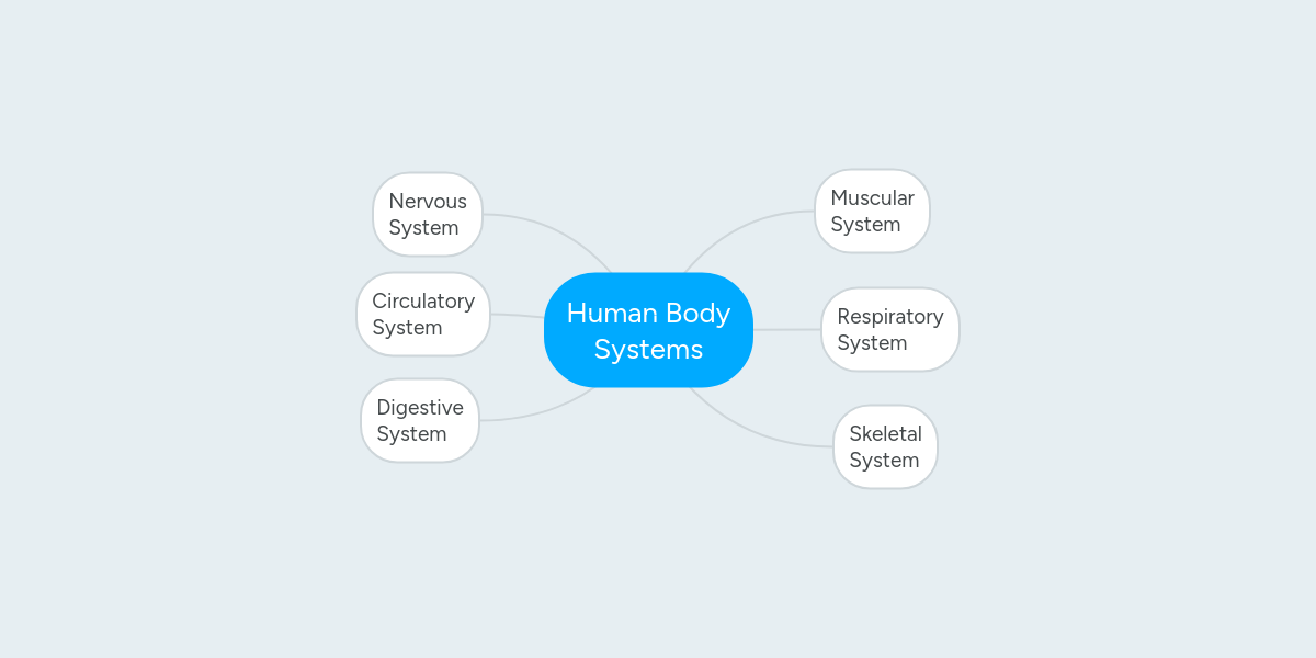 Human Body Systems | MindMeister Mind Map