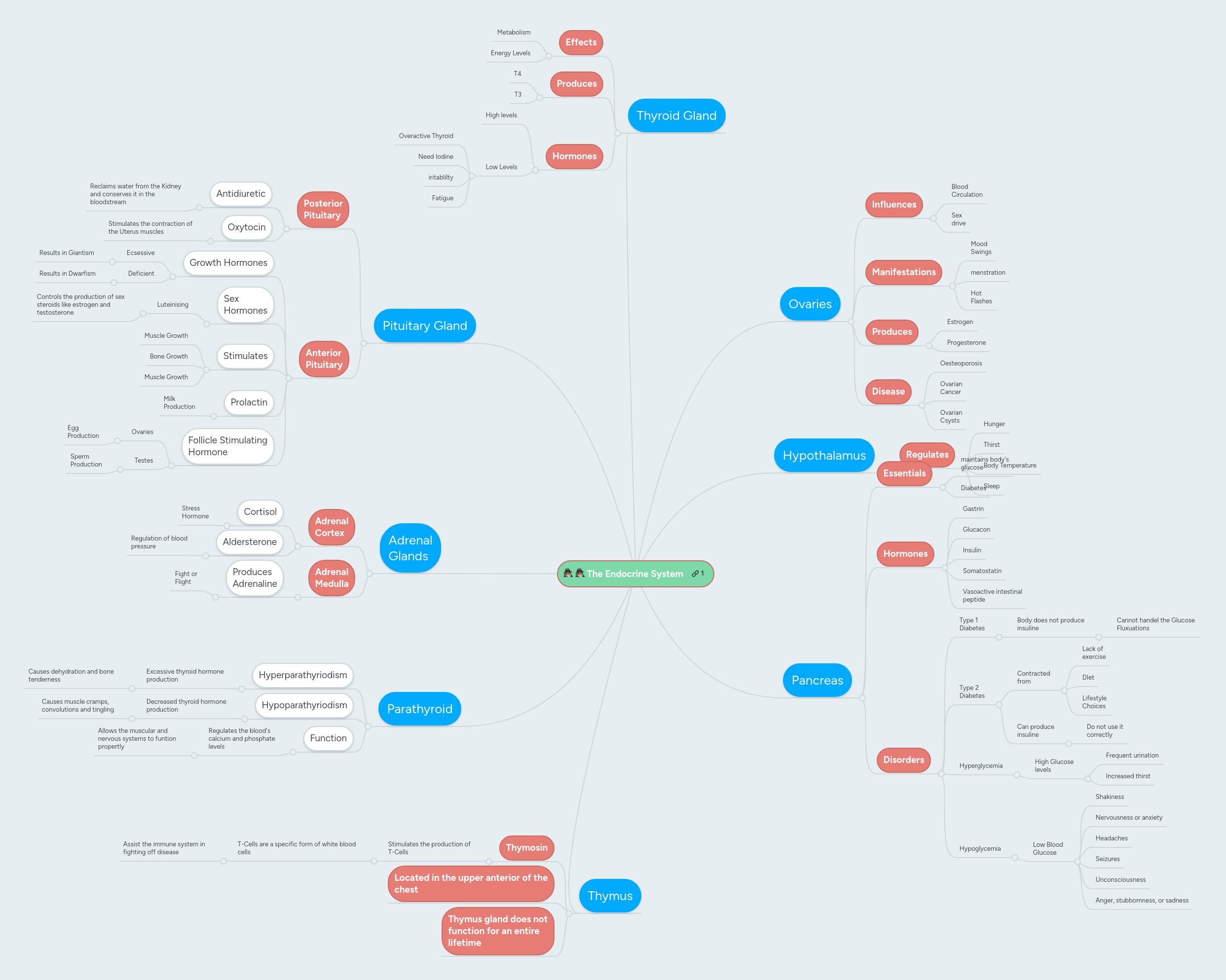 Endocrine System Concept Map