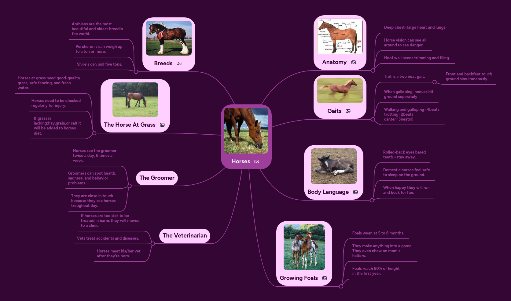 Horses | MindMeister Mind Map