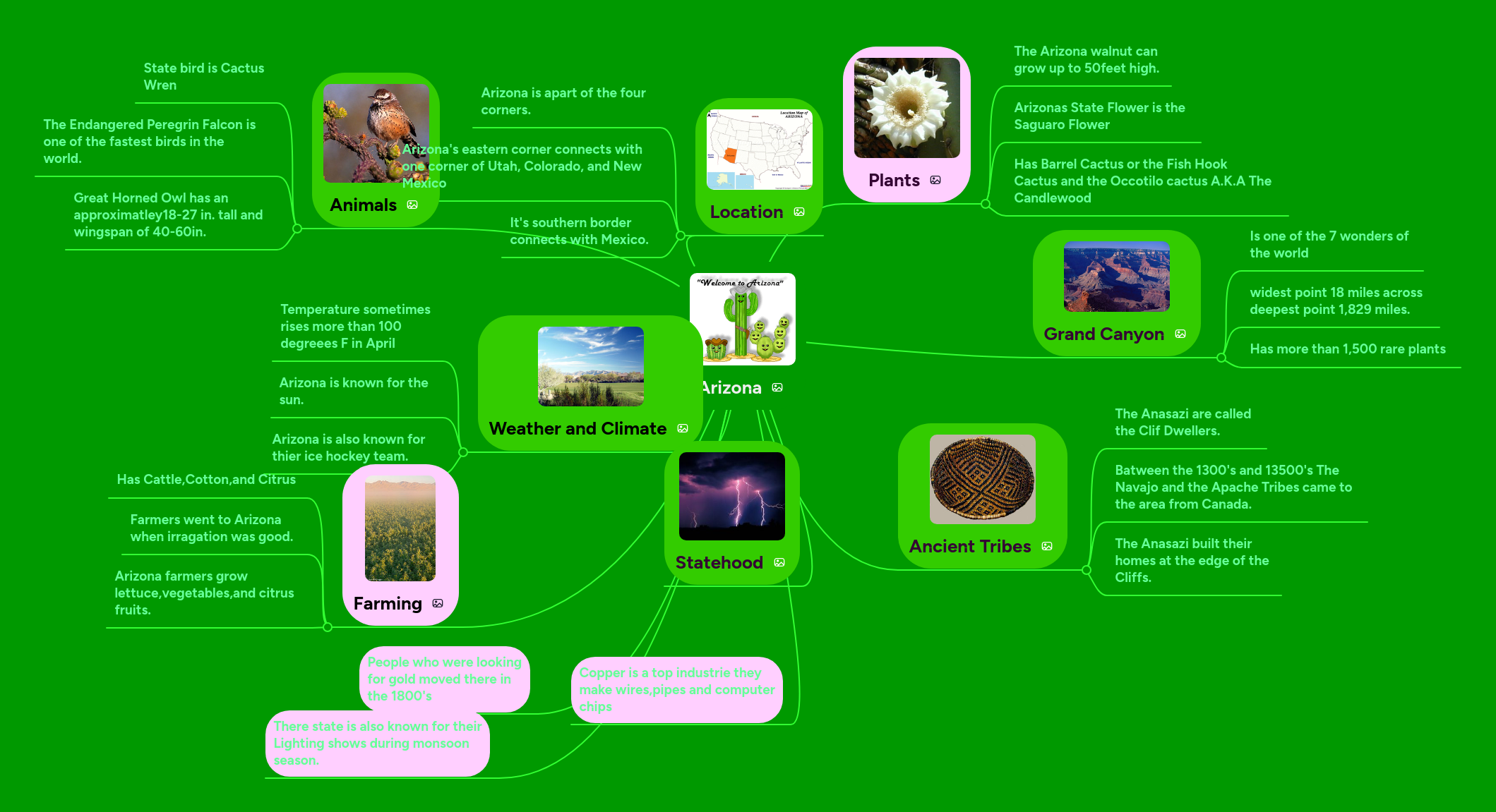 Arizona | MindMeister Mind map