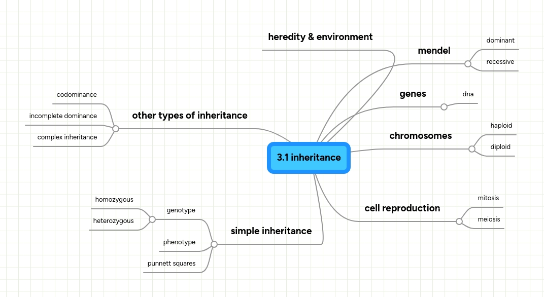 3.1 inheritance | MindMeister Mind map