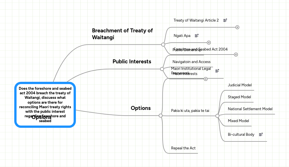 Does the foreshore and seabed act 2004 breach the... | MindMeister Mind map