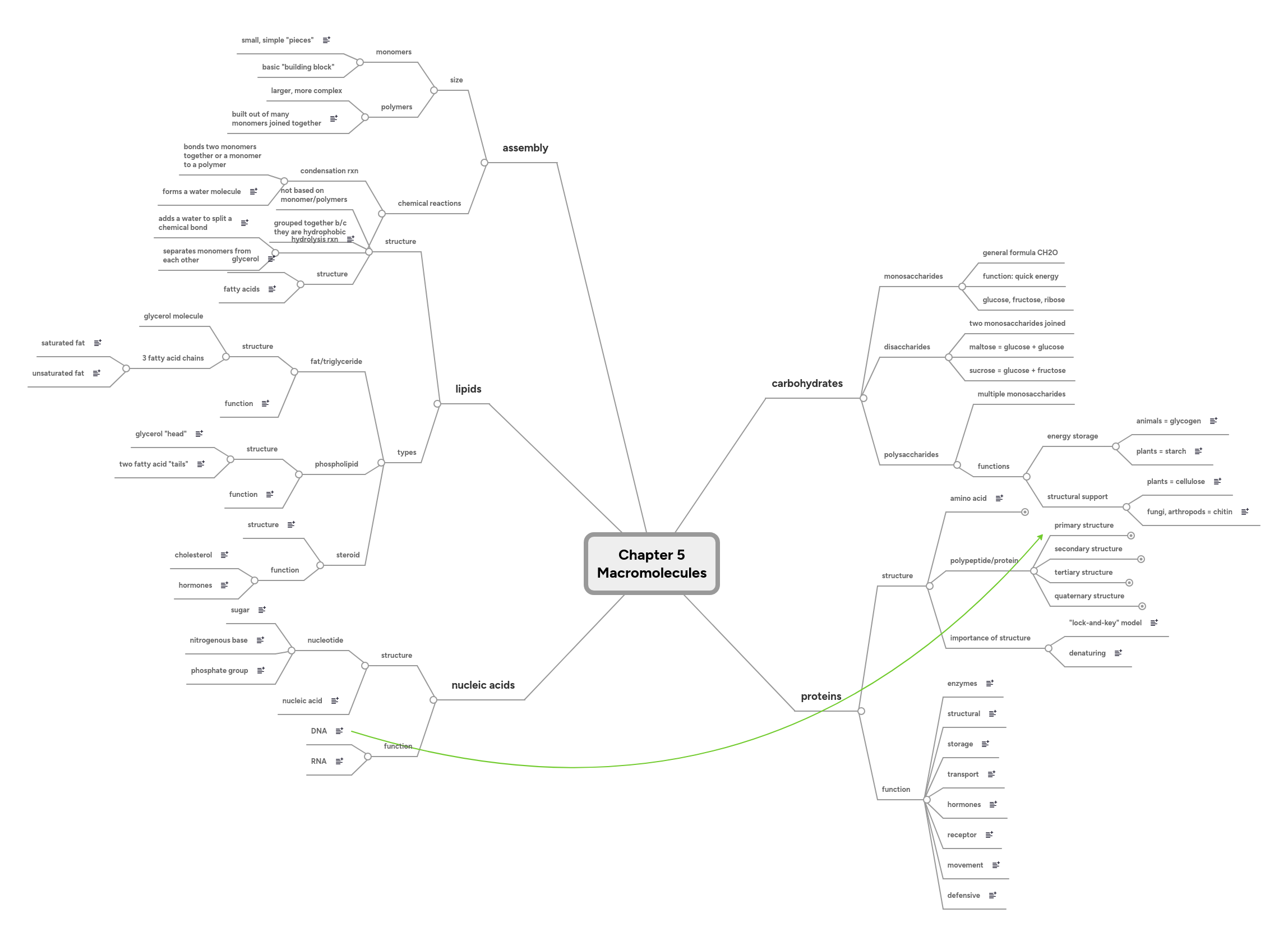 Chapter 5 Macromolecules | MindMeister Mind Map