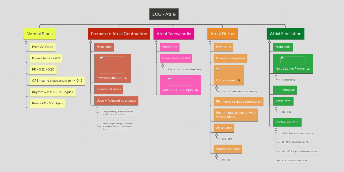 ECG - Atrial | MindMeister Mind Map