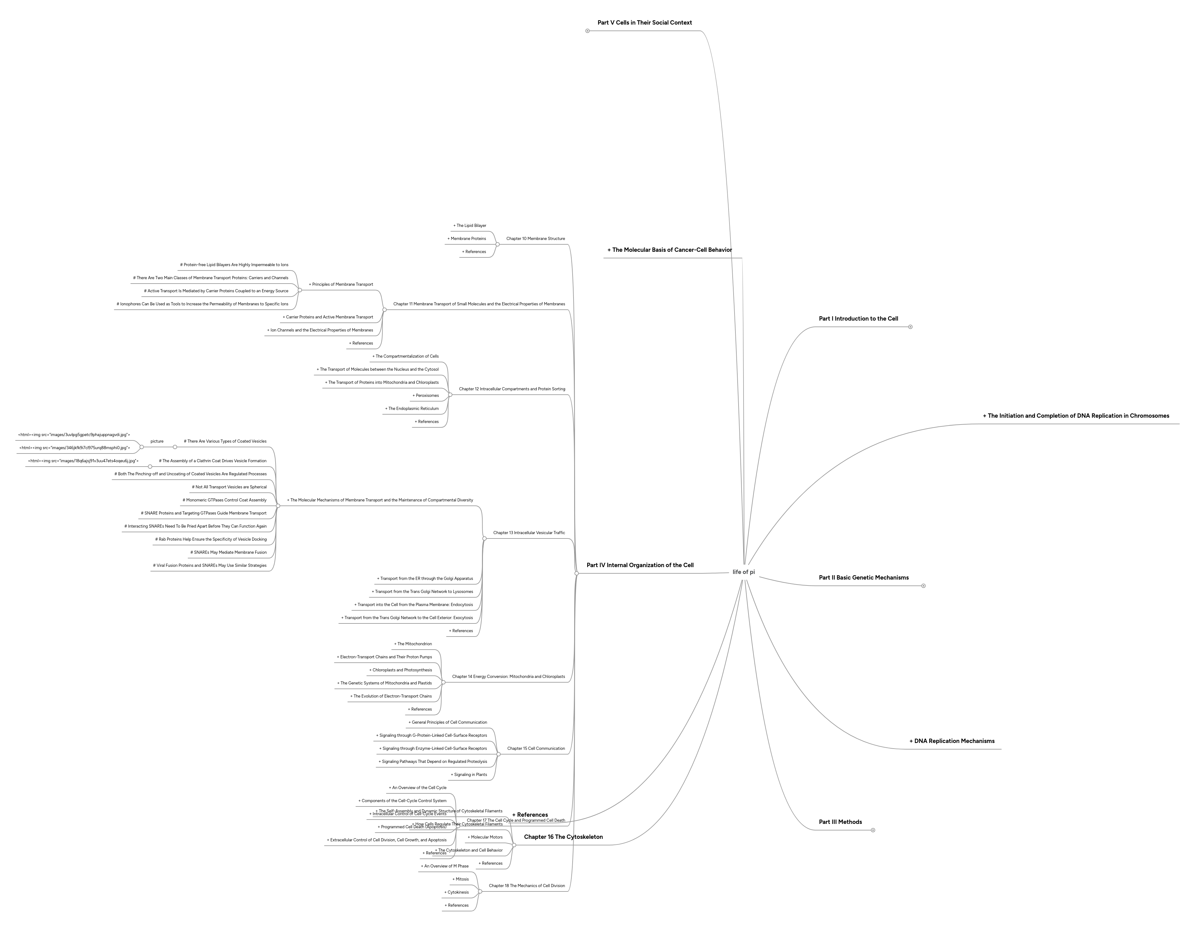 life of pi | MindMeister Mind Map