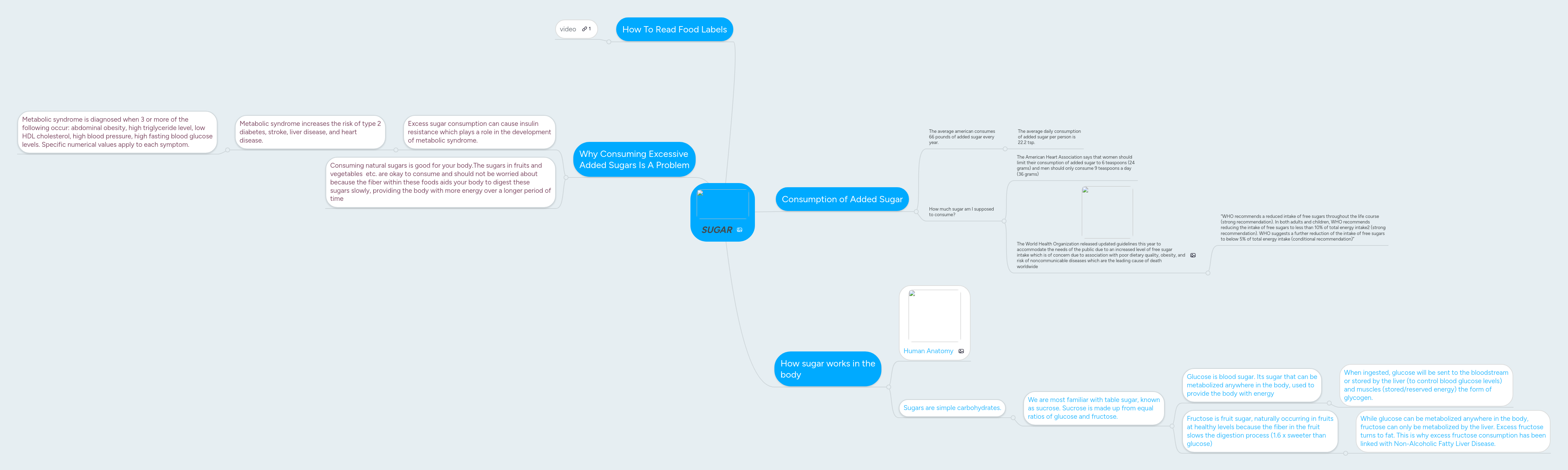 SUGAR | MindMeister Mind map