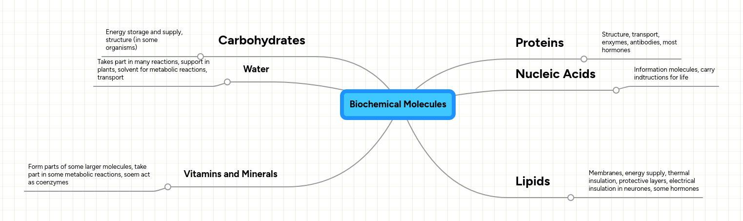 Biochemical Molecules | MindMeister Mind map