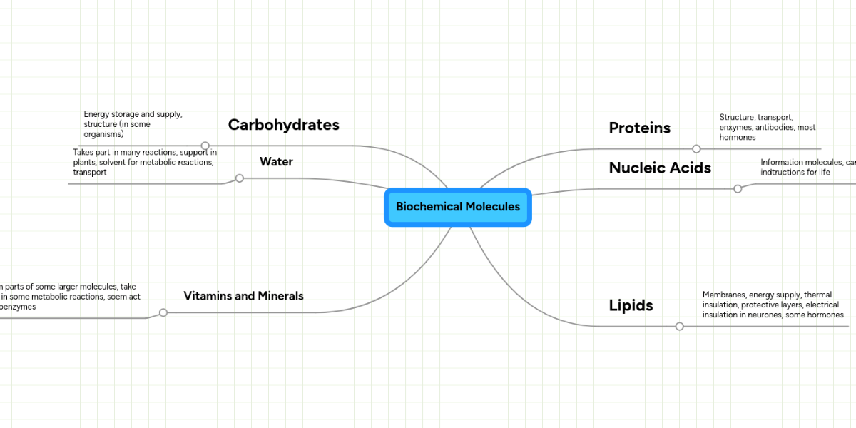 Biochemical Molecules | MindMeister Mind Map